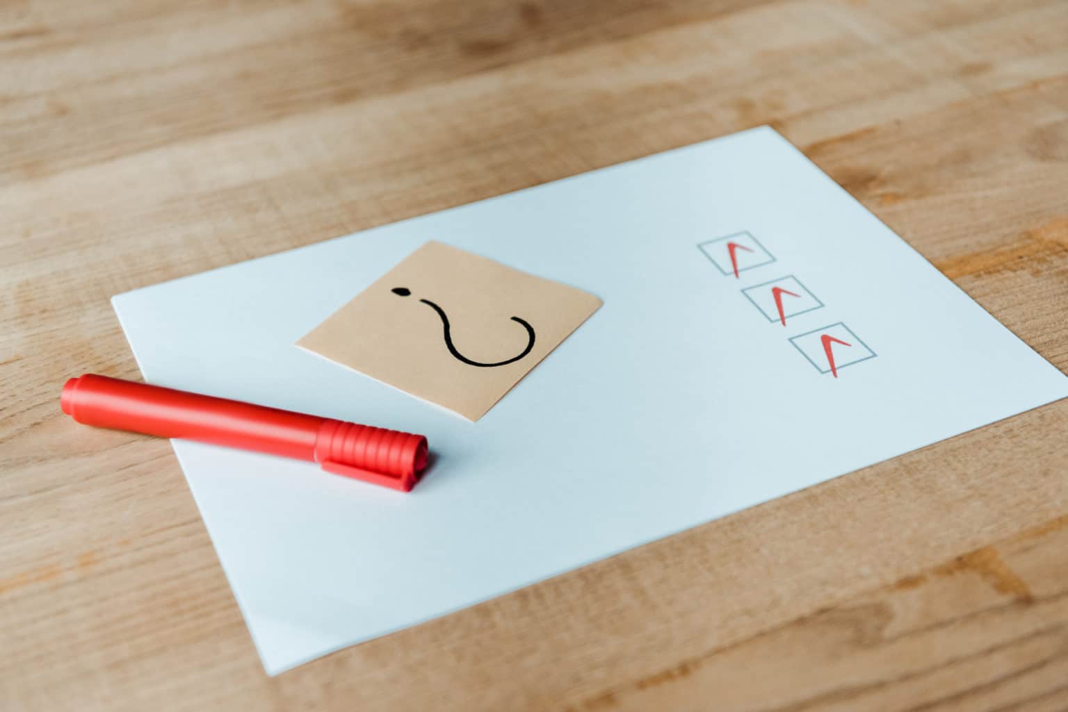 How To Check The Box For Equality - Counter Culture Mom