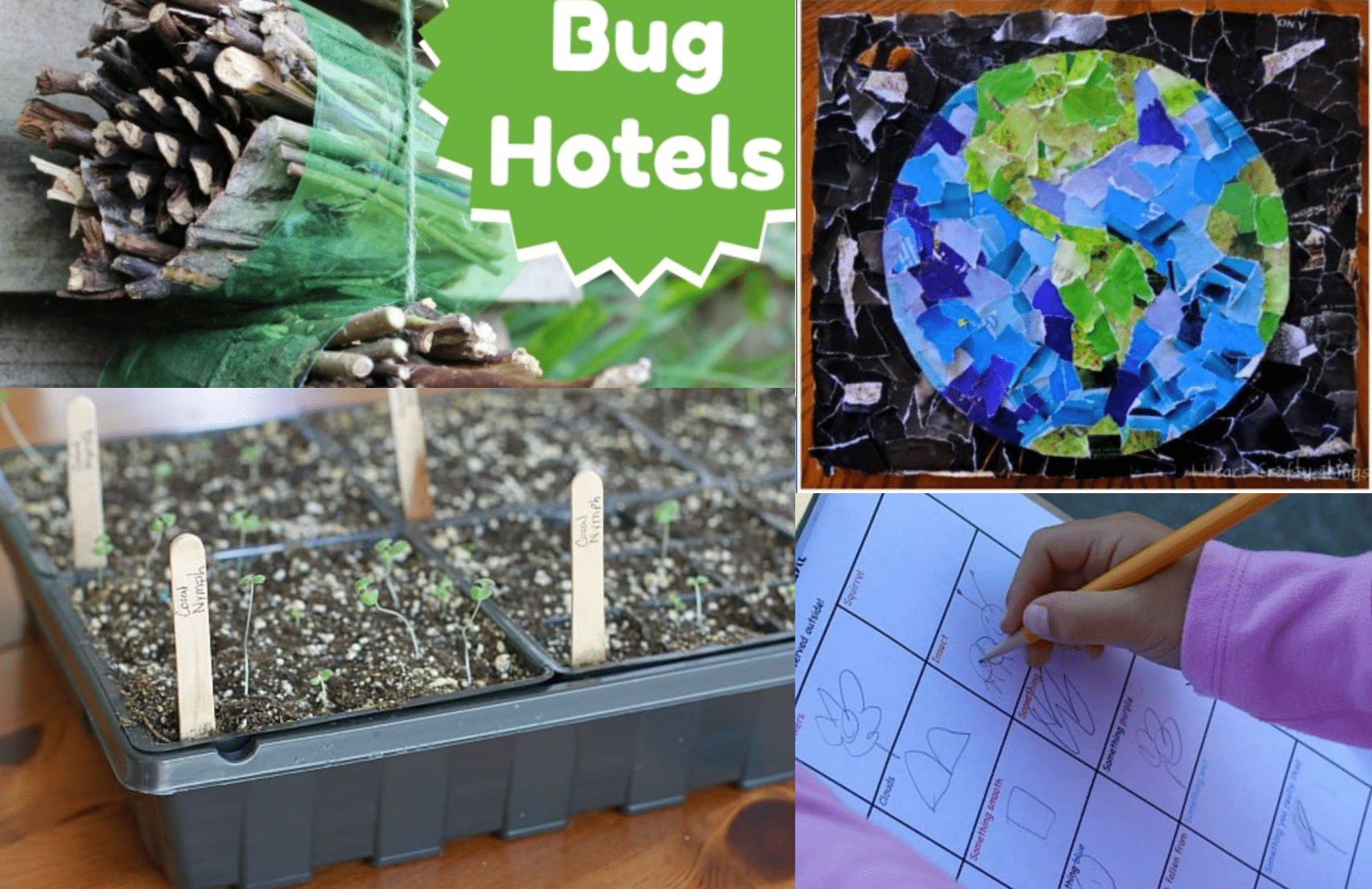 Making Earth Day Fun and Biblical For Kids! - Counter Culture Mom